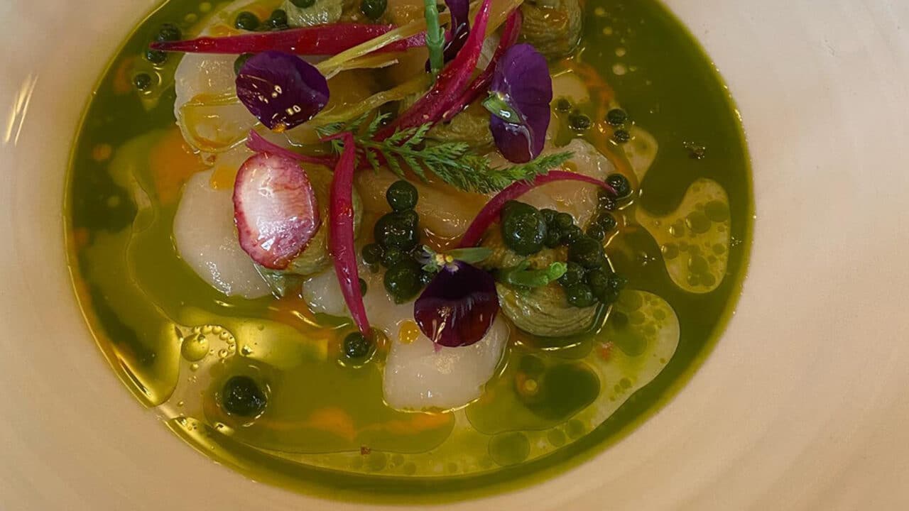 AKTUELL | azibene AG